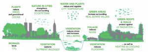 Urban ecosystem services - C/O City