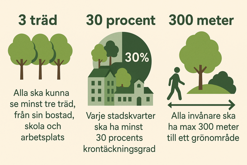 Handbok visar hur städer kan bli grönare med 3+30+300-principen - C/O City